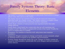 What Are The Basic Components Of A Family System BDBuzz