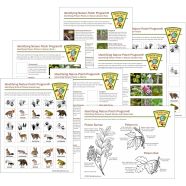 Identifying Plants Animal Tracks Download MakingFriends